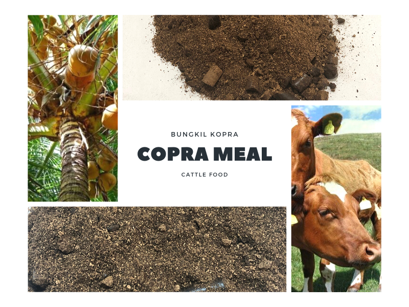 Copra Meal Powder - Coconut Export Indo